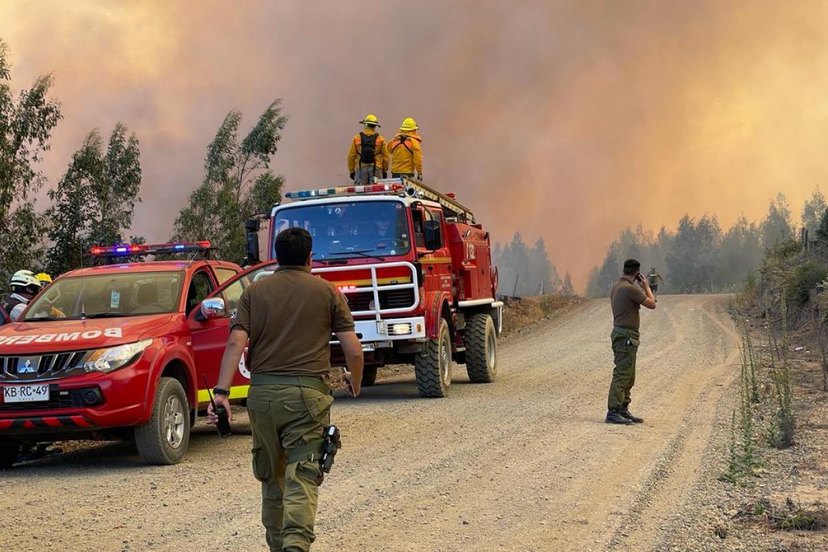 Mueren Al Menos 5 Personas Por Incendio Forestal En Chile Bi Noticias